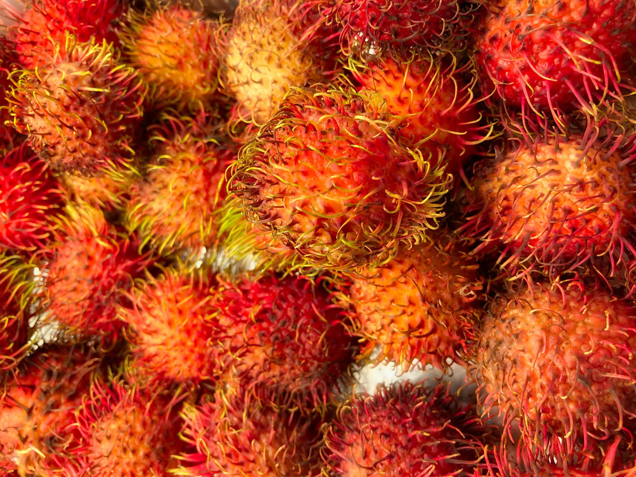 10 frutas exóticas, ¿Las conocías? - Que Cocine Peter
